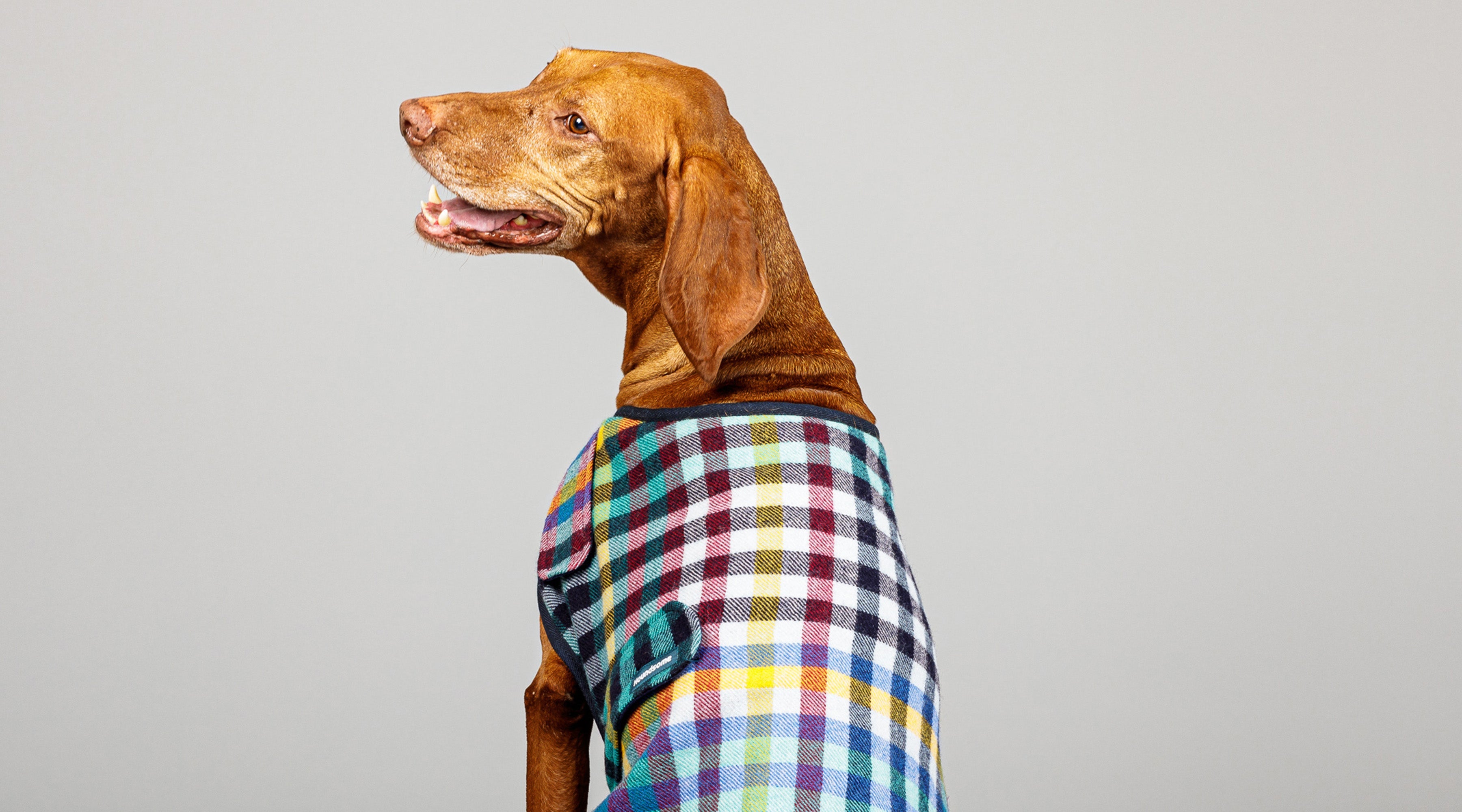 How to measure your dog for a perfect fit dog jacket or coat – Houndsome